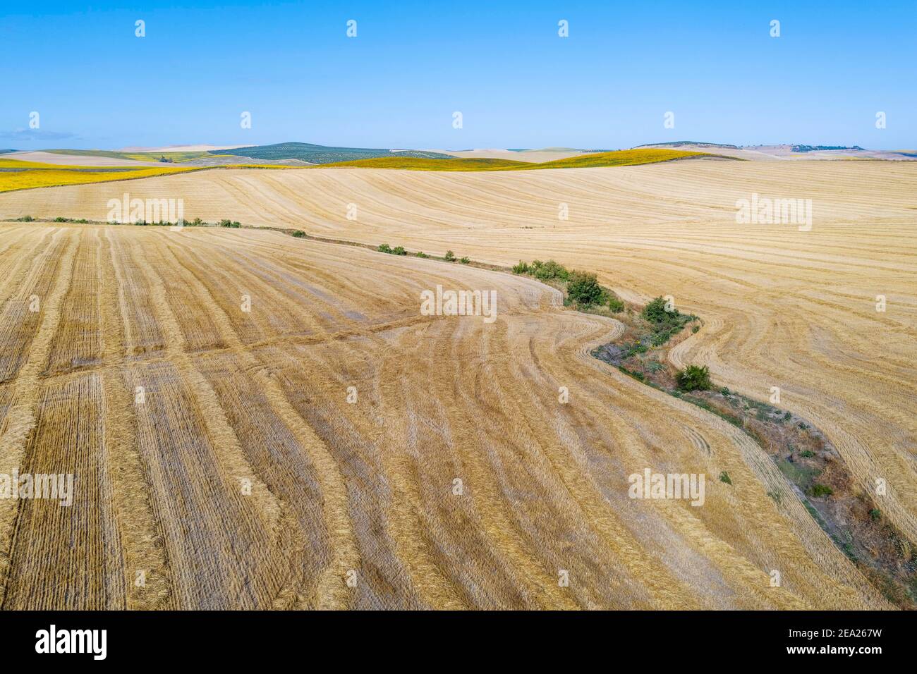 Abstract patterns in cornfield after wheat harvest and dry stream, the ...