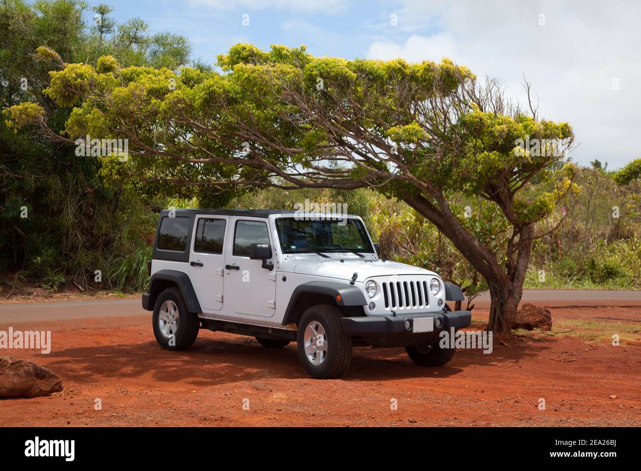 USA, HAWAII: Big jeep under tree Stock Photo - Alamy