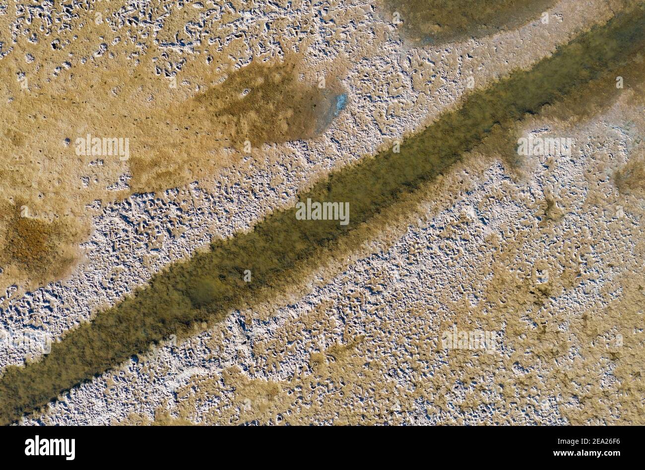 Saline soil hi-res stock photography and images - Alamy