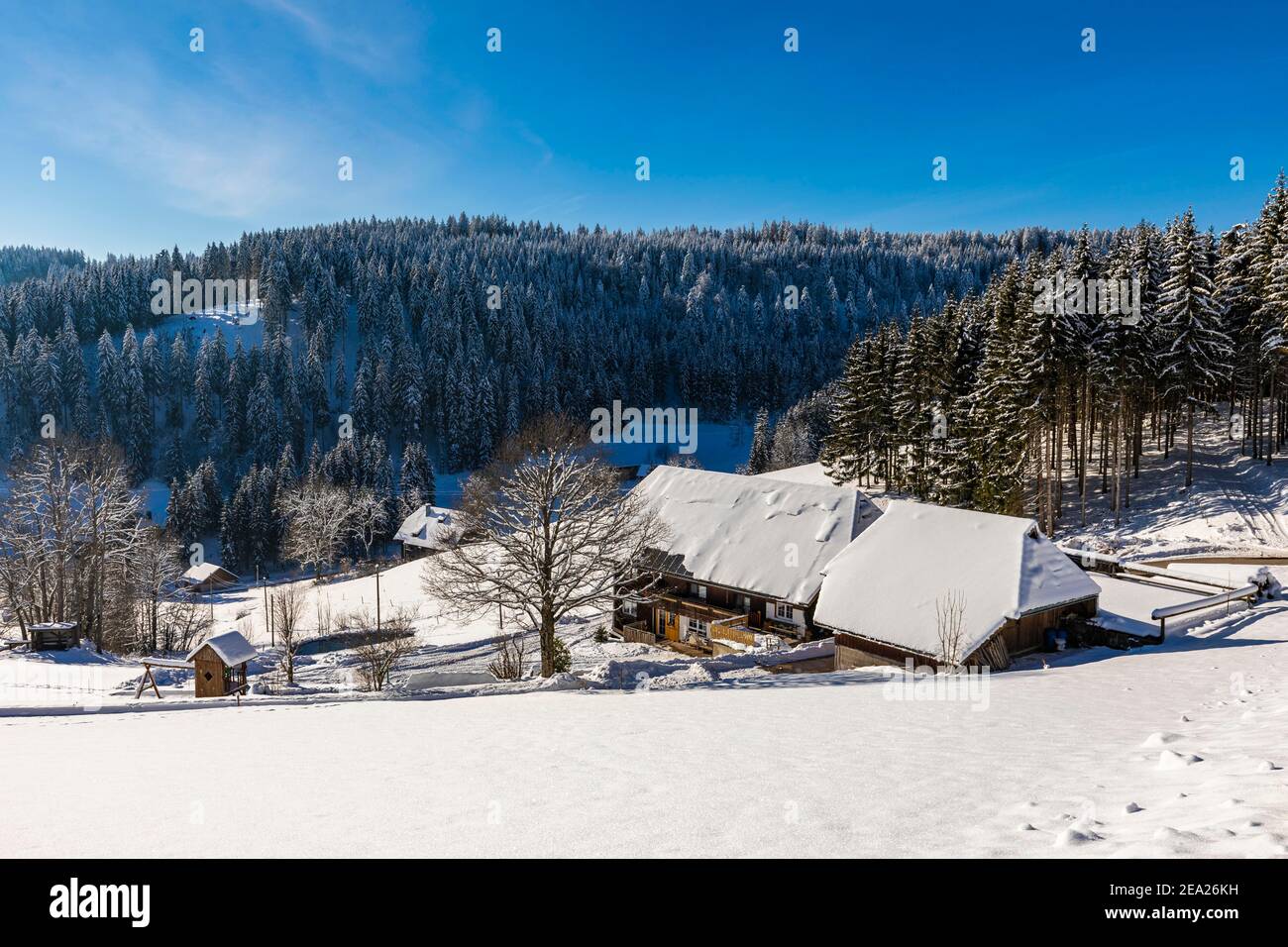 Black Forest farm in winter, farm, snow, near Furtwangen, Black Forest ...
