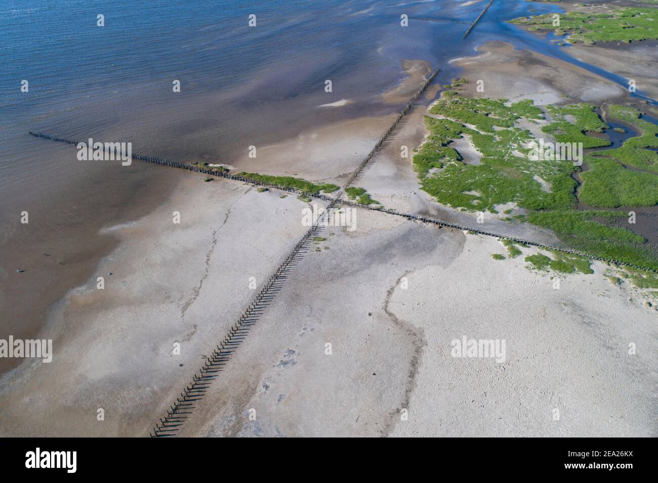 Salt marshes in front of the dike, coastal protection, Wadden Sea ...