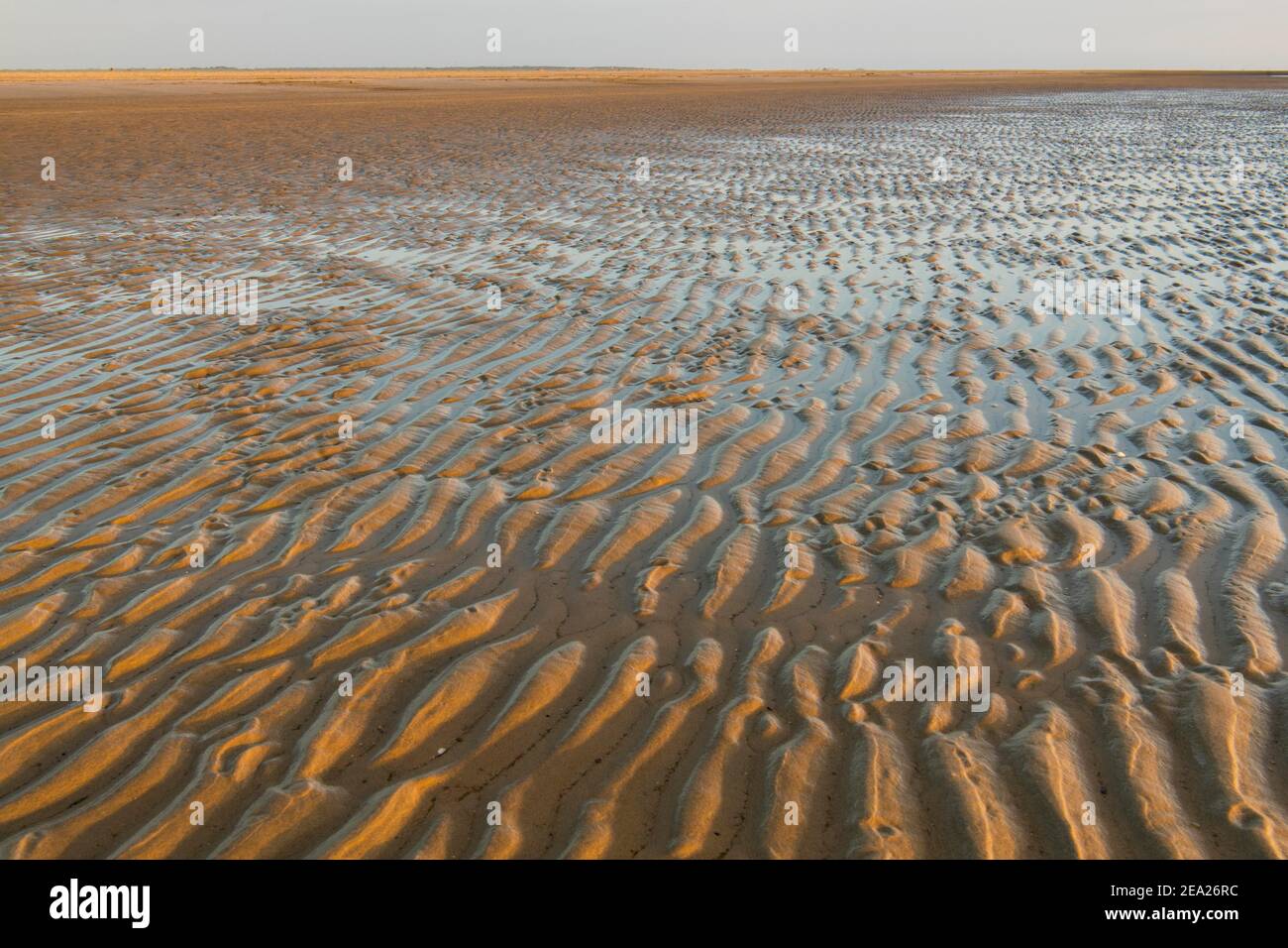 Mudflats in evening light, structure in sandy beach at low tide, Wadden ...