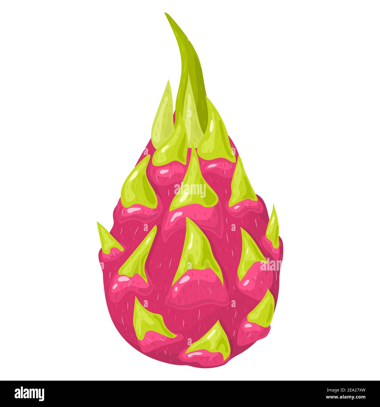 Fresh whole red pitaya fruits isolated on white background. Summer ...