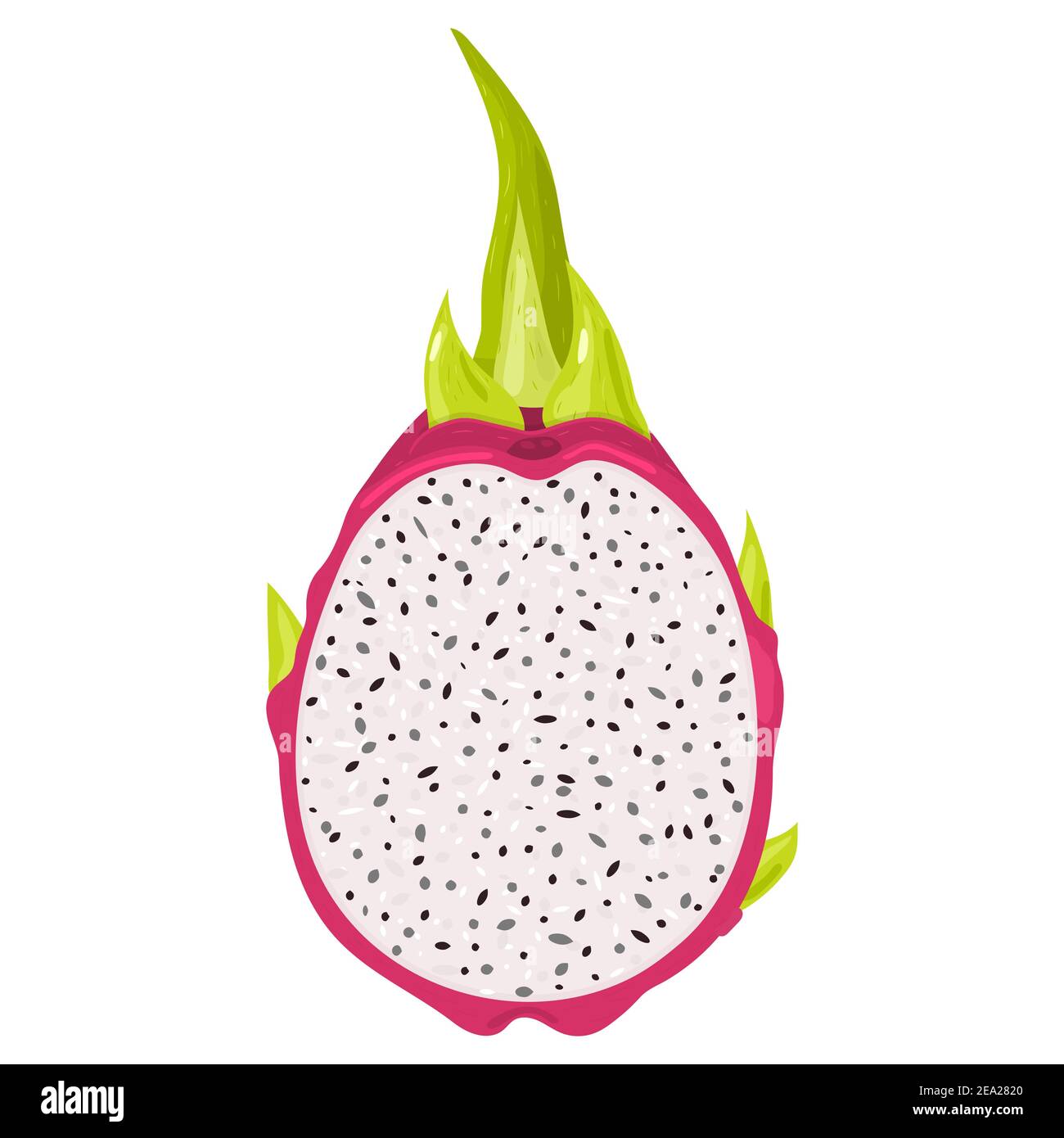 Fresh half cut red pitaya fruits isolated on white background. Summer ...