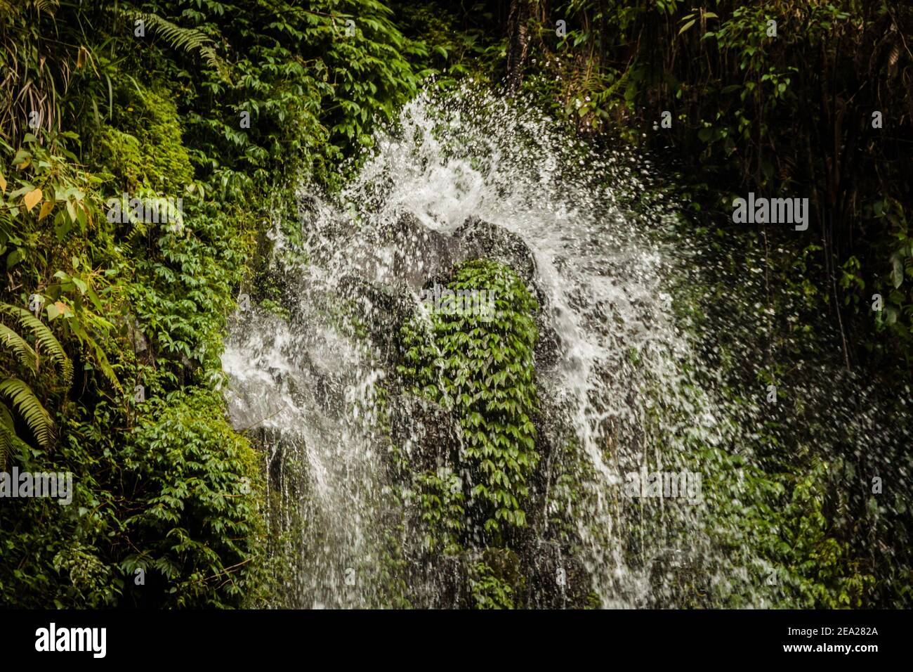 A close-up of a water splash at Nungnung Waterfall in Bali Stock Photo ...