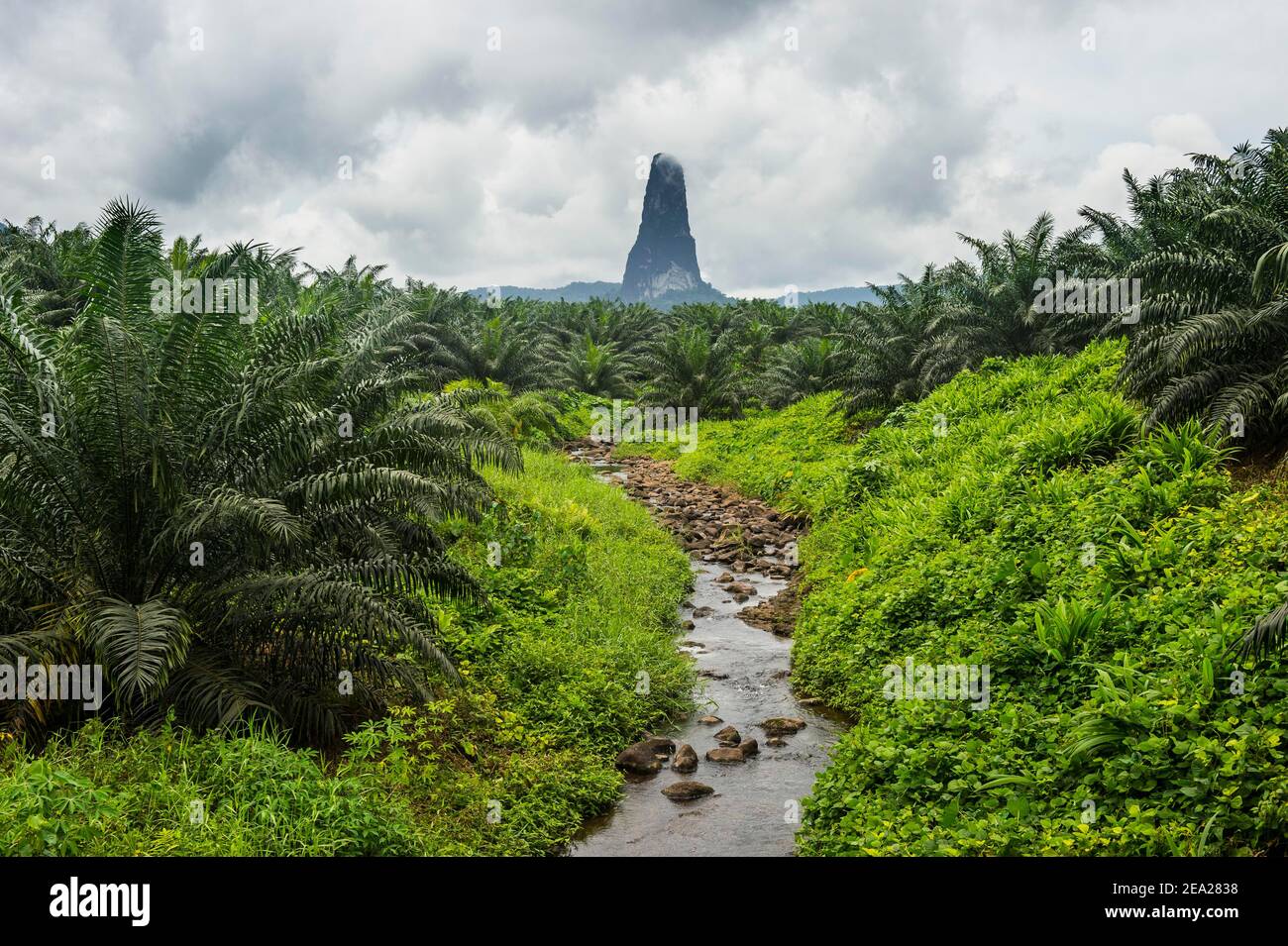 Little creek leading to the unusal monolith, Pico Cao Grande, east ...