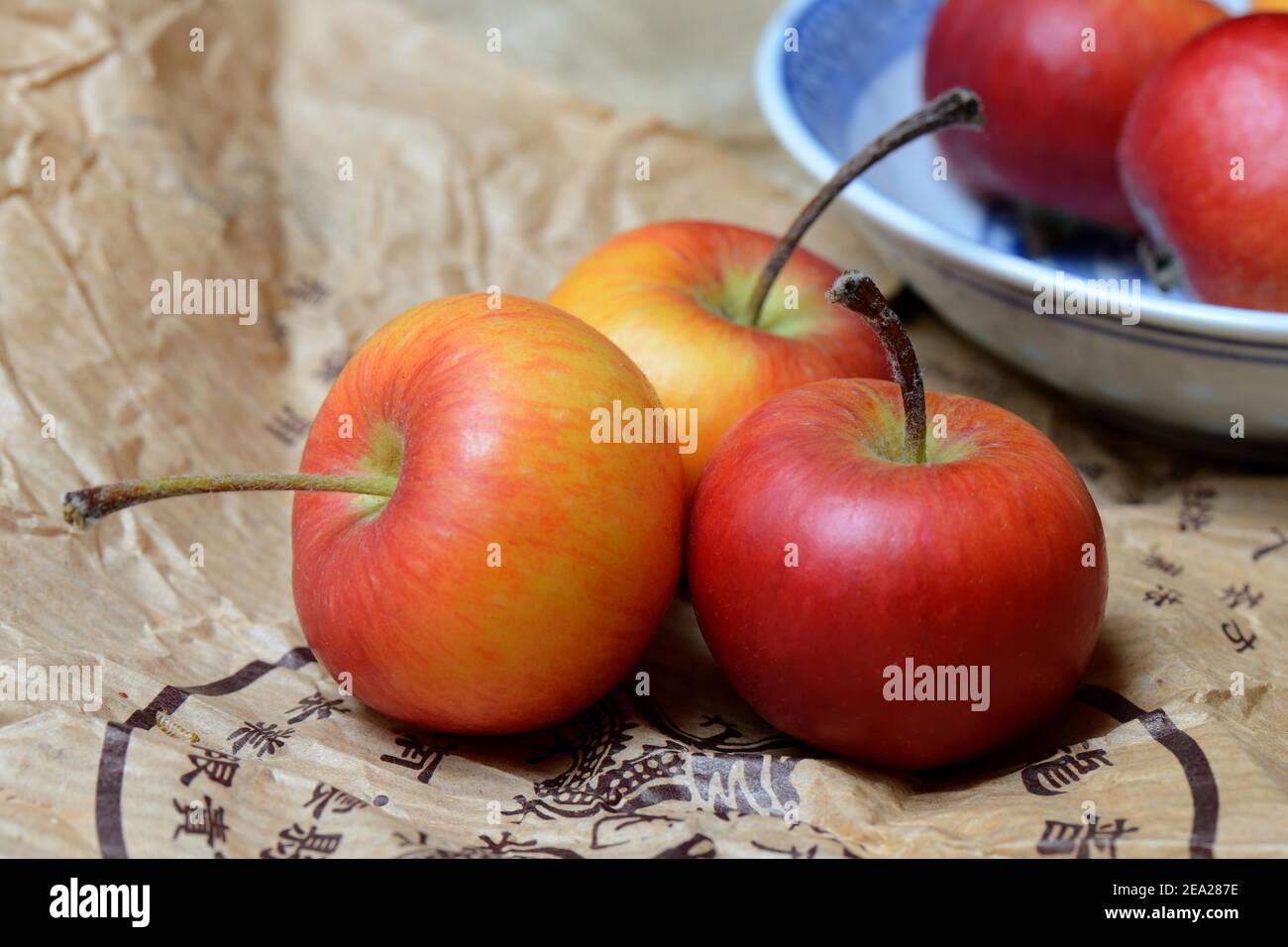 Decorative apples ( Malus Stock Photo - Alamy