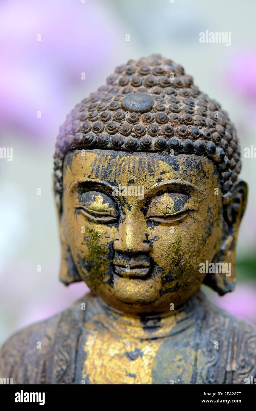 Buddha head, Buddhism Stock Photo - Alamy