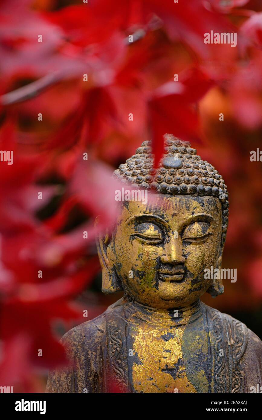 Autumn buddha statue hi-res stock photography and images - Alamy