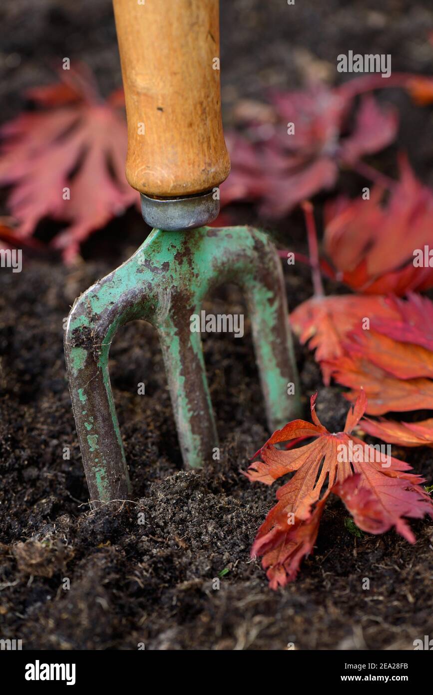 Digging fork, hand fork, garden fork Stock Photo - Alamy