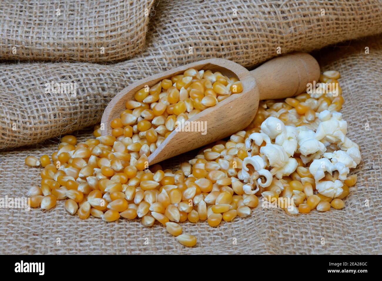 Corn with shovel hi-res stock photography and images - Alamy