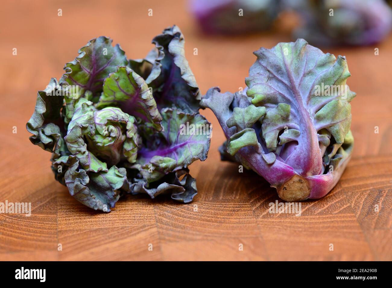 Flower Sprouts, cabbage florets, flower sprouts, cross between Brussels ...
