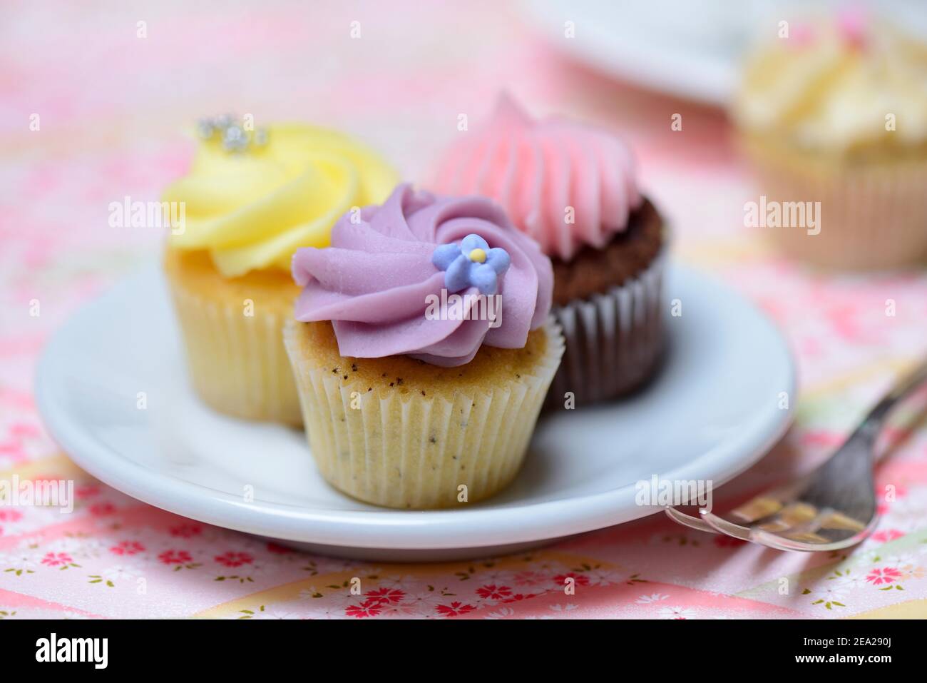 Mini-Cupcakes on plates Stock Photo - Alamy