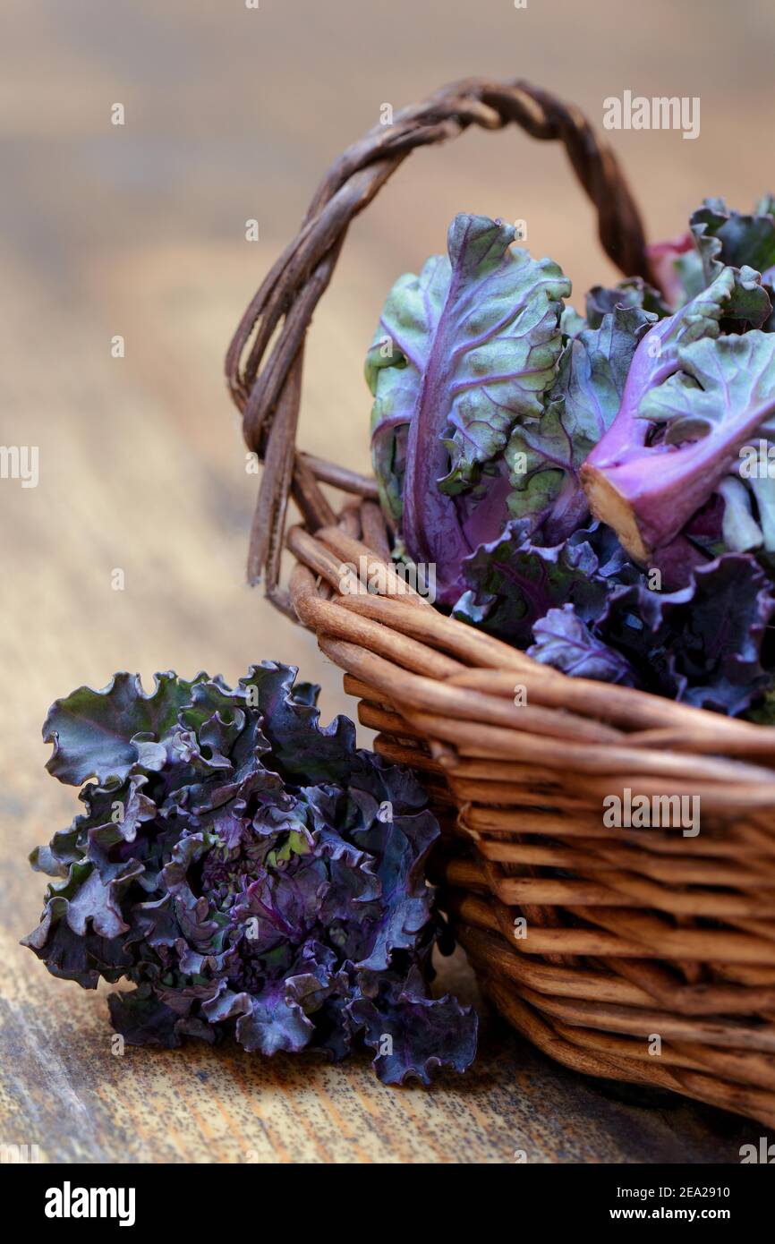 Flower Sprouts in baskets, cabbage florets, flower sprouts, cross ...