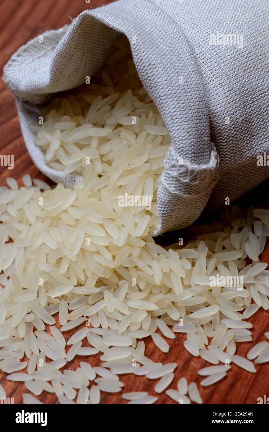 Asian rice plant oryza sativa hi-res stock photography and images - Alamy