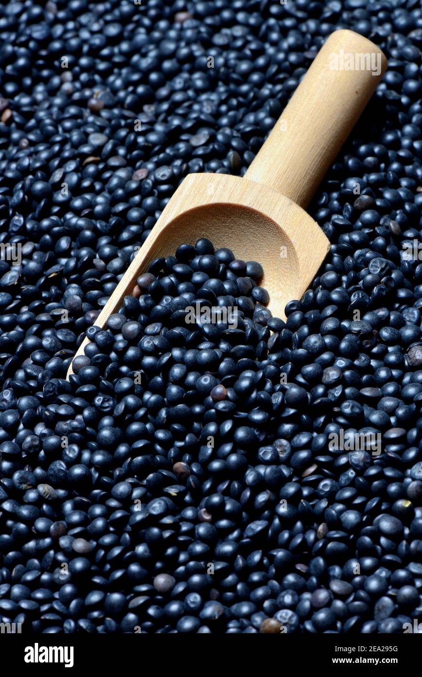 Seed shovel hi-res stock photography and images - Alamy