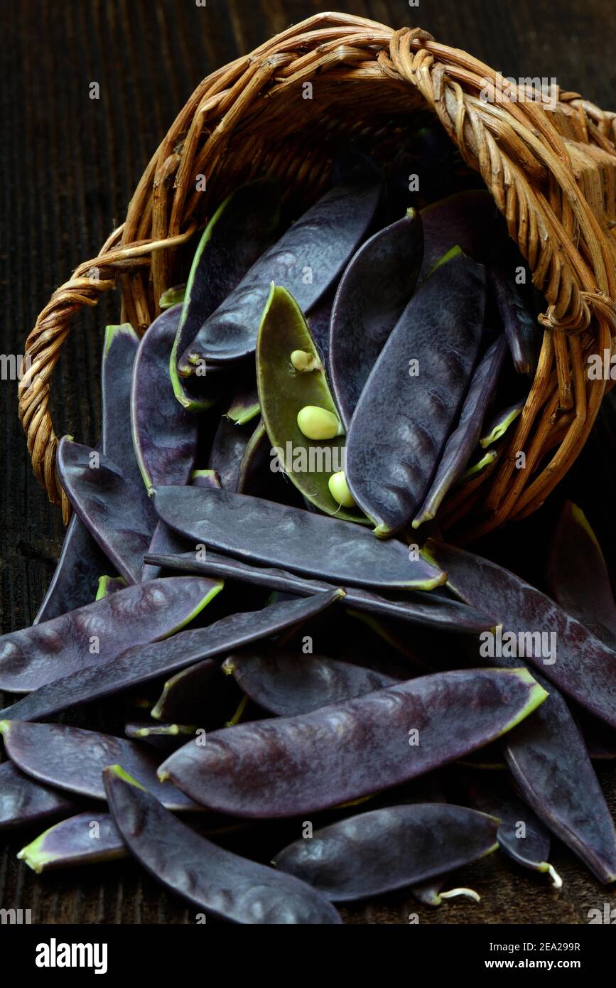 Sugar pod hi-res stock photography and images - Alamy