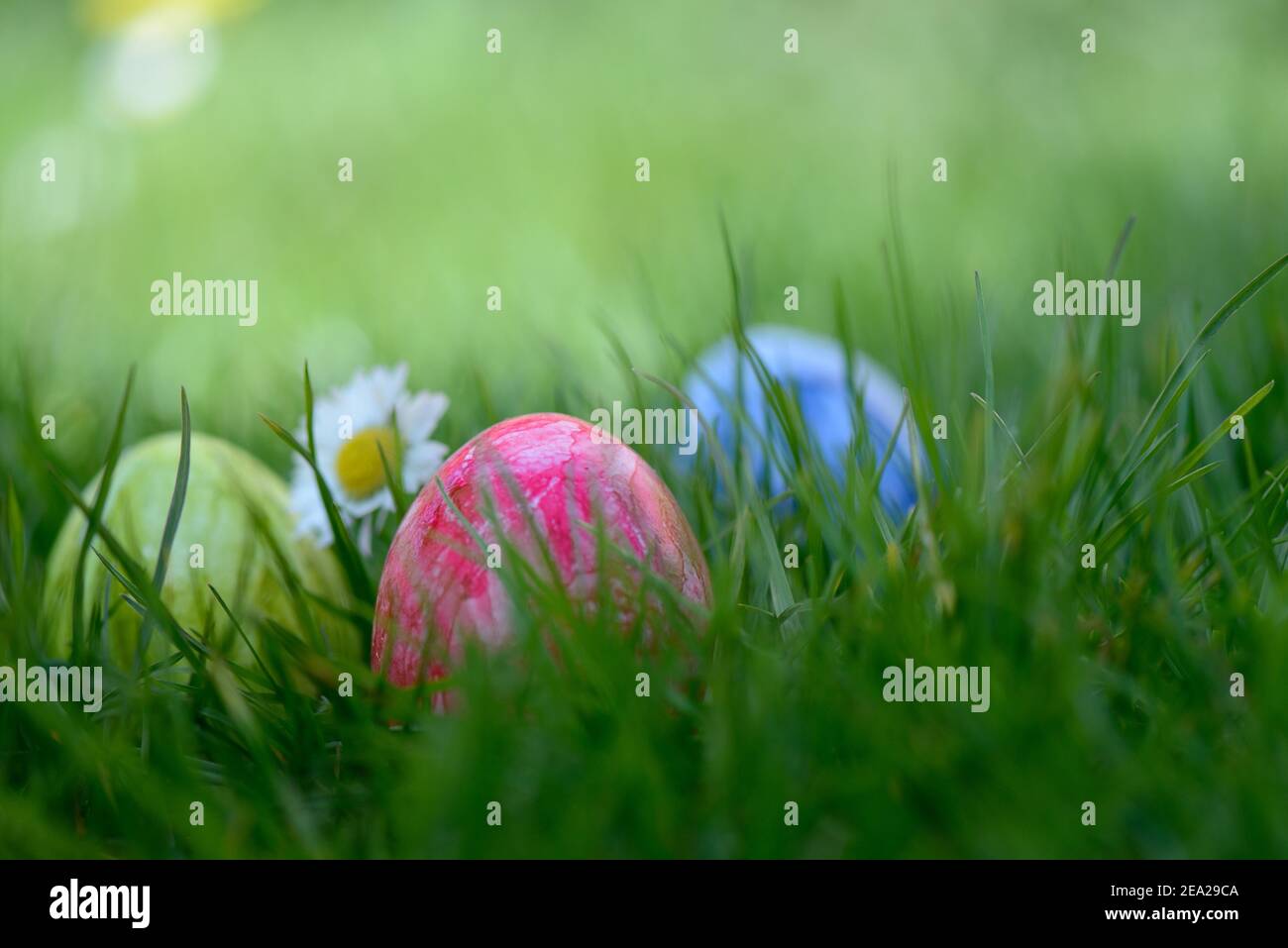 Easter eggs in grass Stock Photo - Alamy