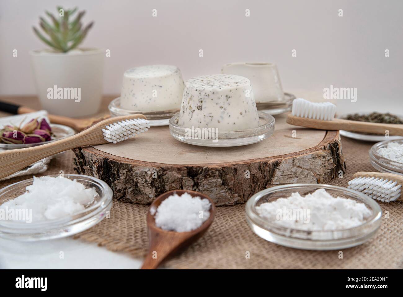 Homemade organic and ecological toothpaste with a bamboo toothbrush ...