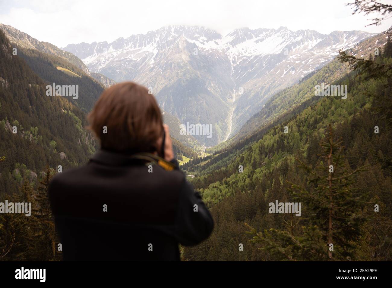 Background photo with beautiful forests hi-res stock photography and ...