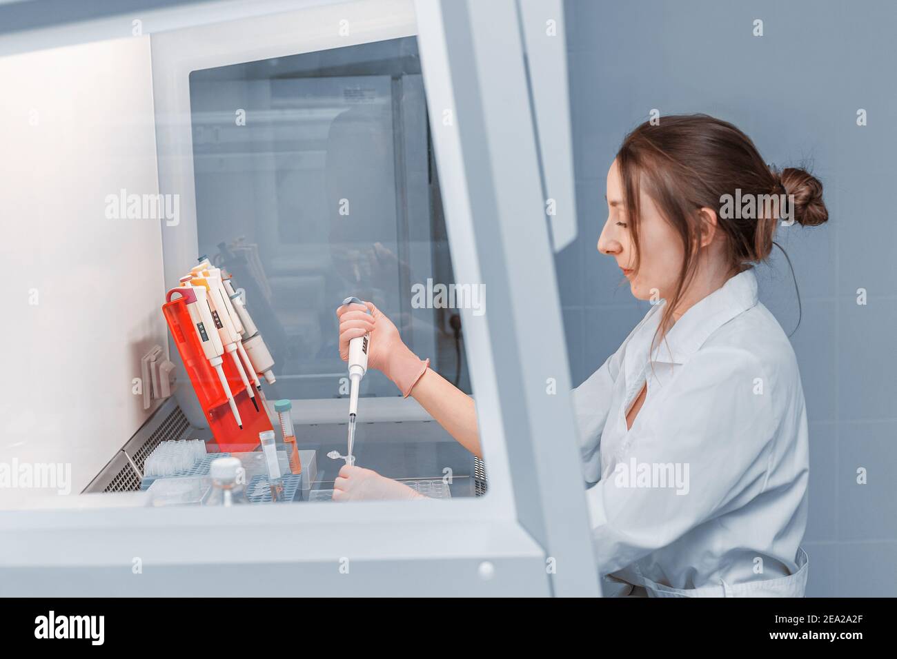 Genetic engineering and pipette hi-res stock photography and images - Alamy