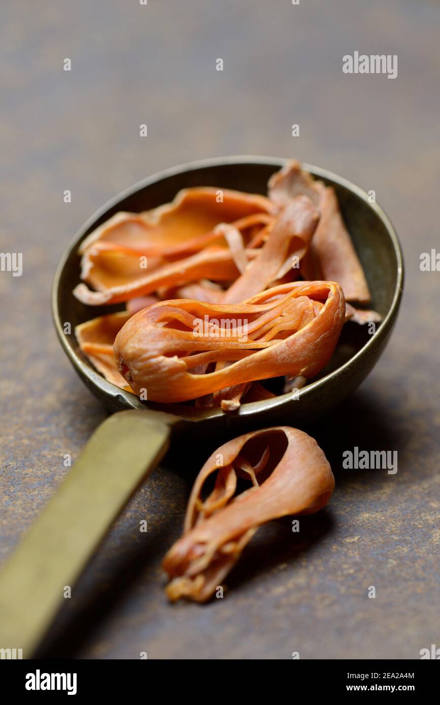 Mace in brass ladle, mace, mace Stock Photo - Alamy