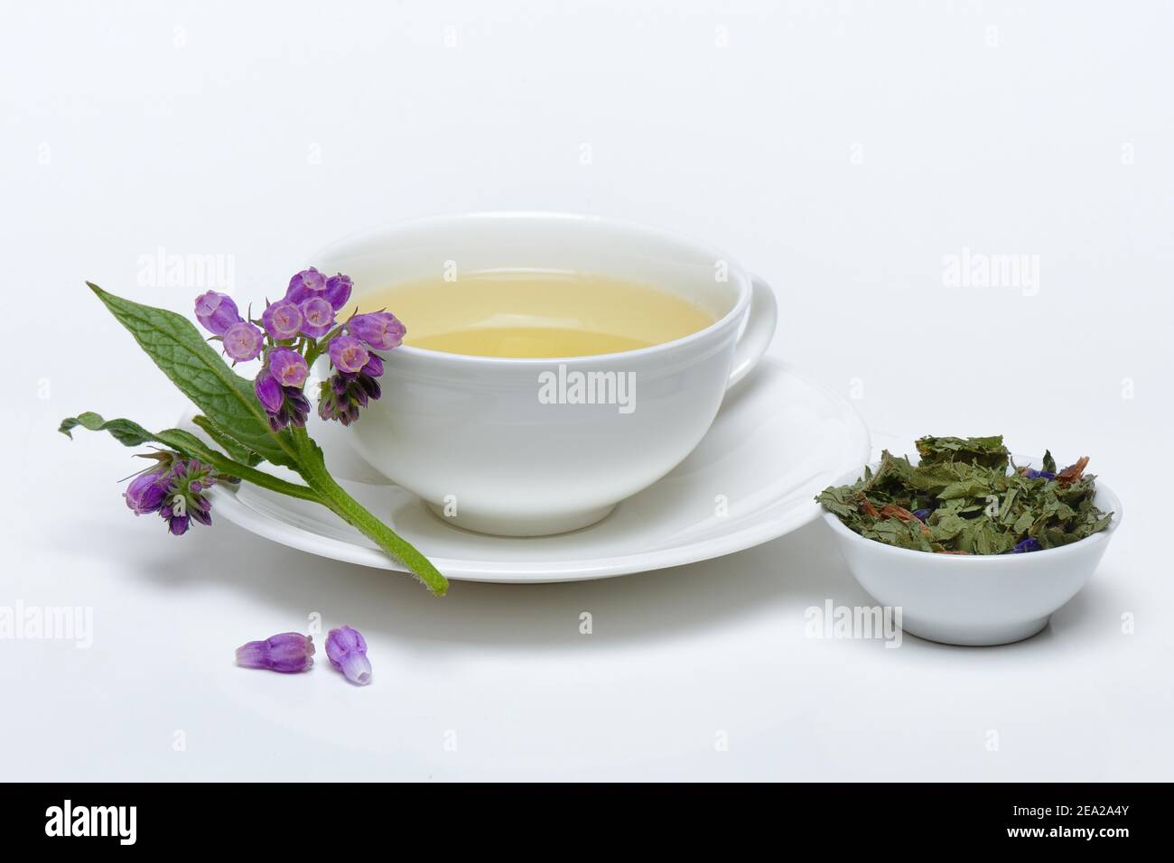 Comfrey tea hi-res stock photography and images - Alamy