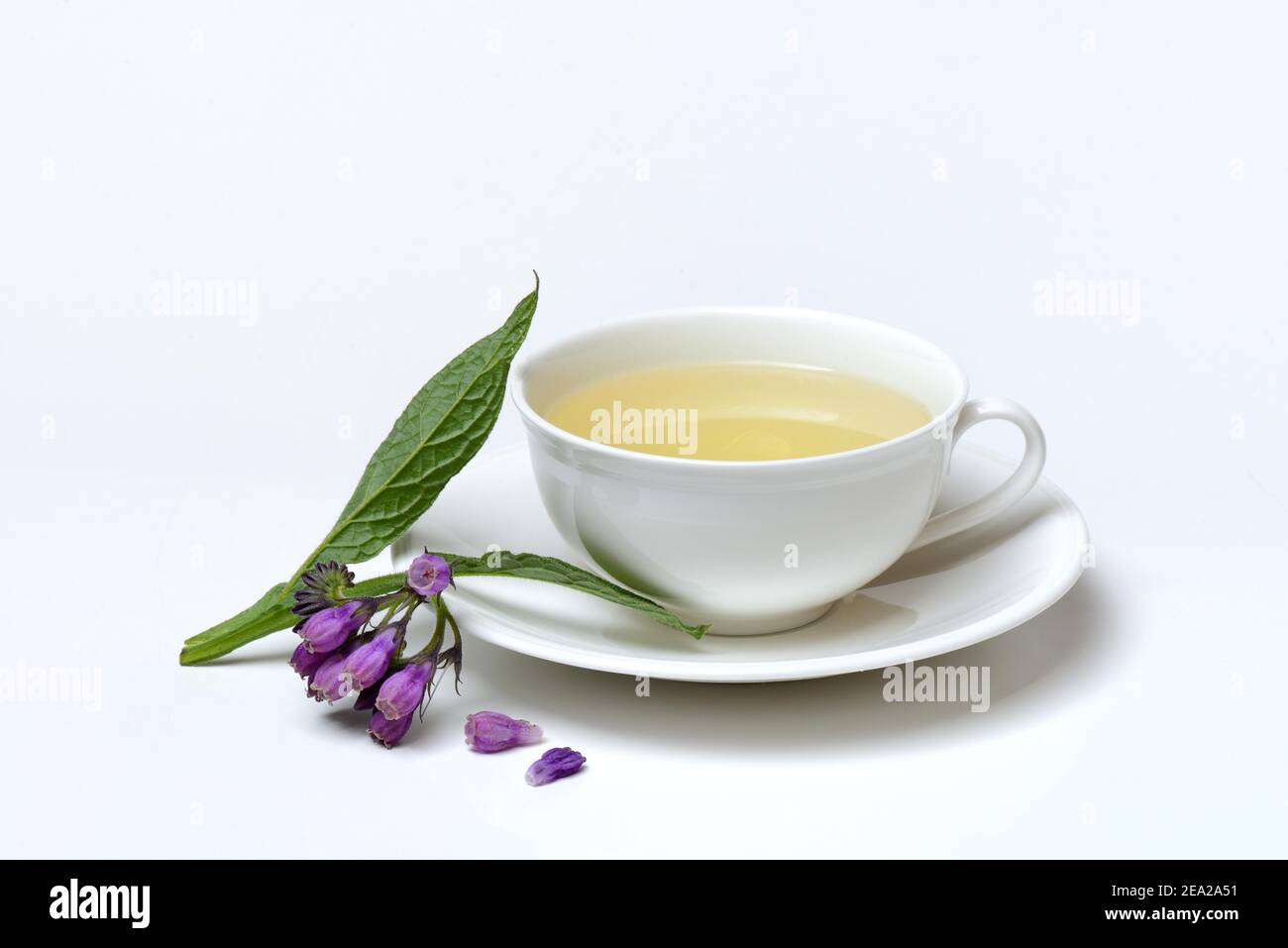 Comfrey tea hi-res stock photography and images - Alamy