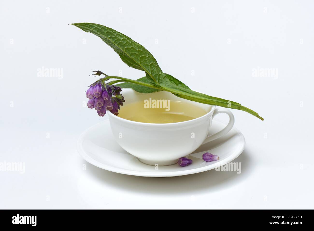Cup of comfrey tea , common comfrey, comfrey tea Stock Photo - Alamy