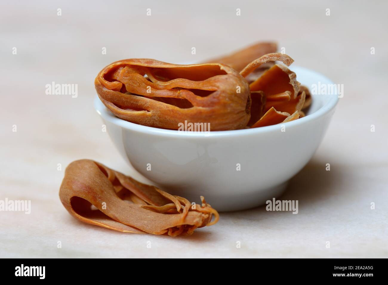 Mace in shell, mace, mace, mace Stock Photo - Alamy