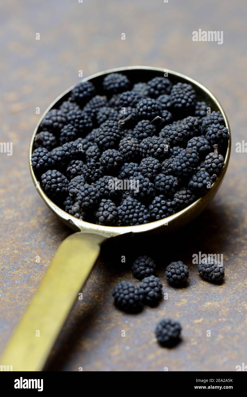 Wild Assam pepper in brass ladle, Assam, India Stock Photo - Alamy