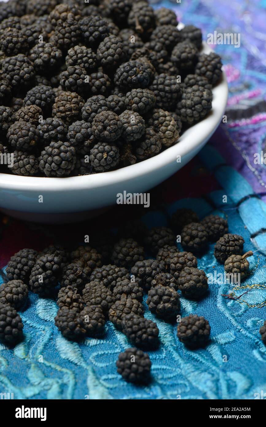 Wild Assam pepper in shell, Assam, India Stock Photo - Alamy