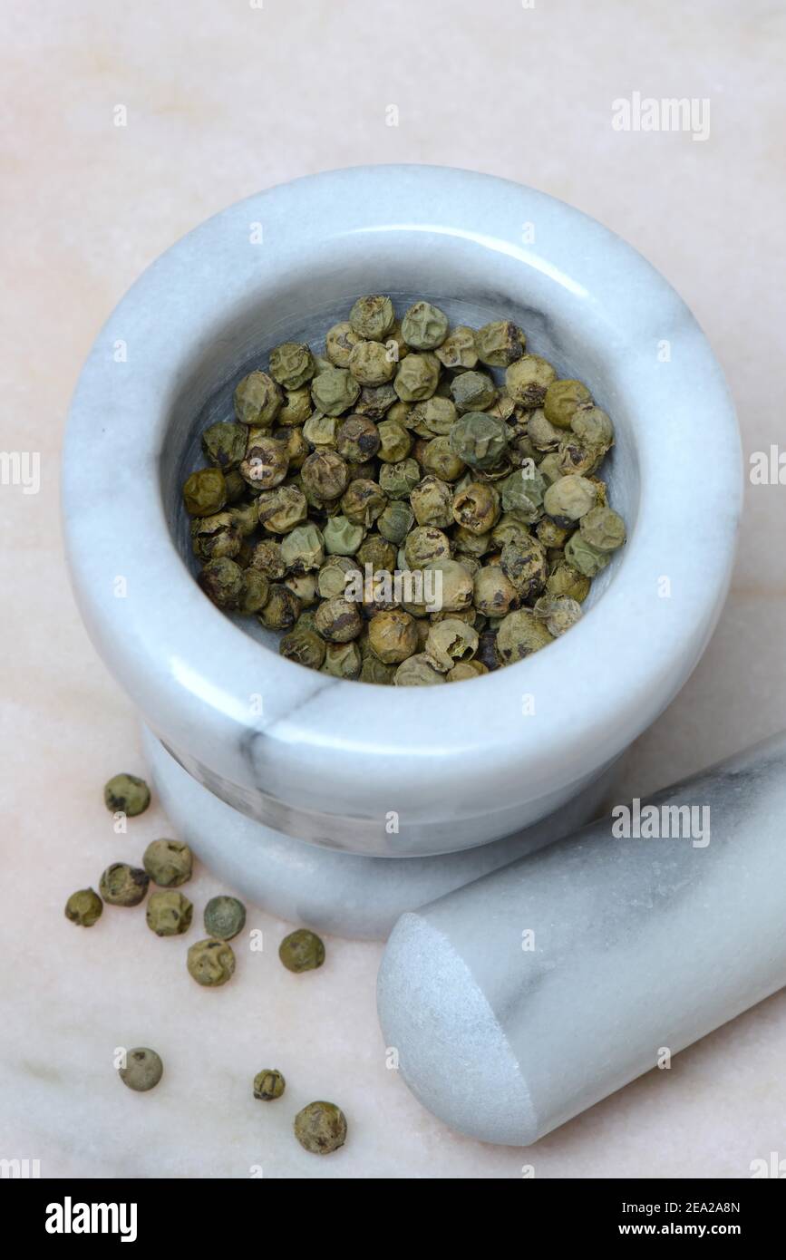 Malabar pepper hi-res stock photography and images - Alamy