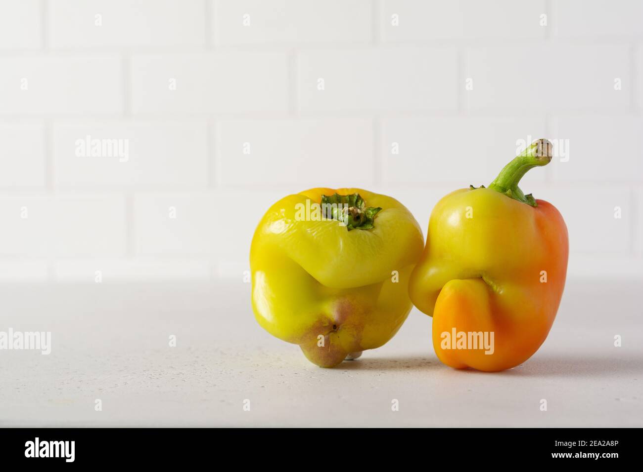 Two ugly peppers that looks like a strange face on a light table. Funny ...