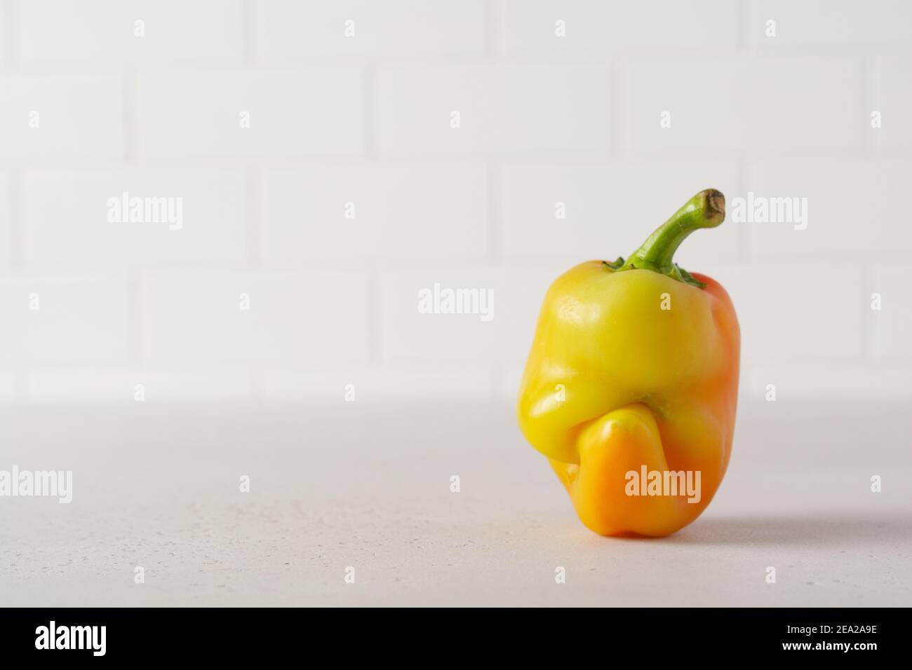 Ugly pepper that looks like a strange face on a light table. Funny ...