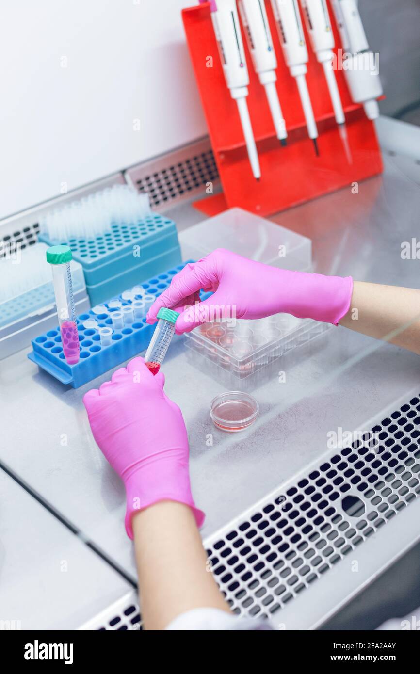 Elisa test hi-res stock photography and images - Alamy