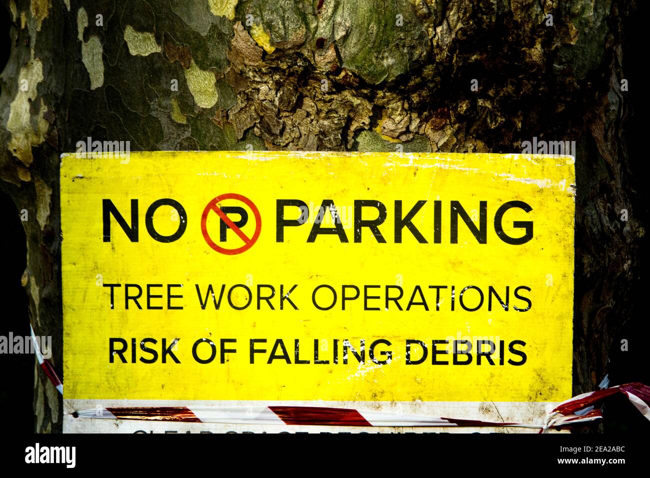Tree cutting warning sign hi-res stock photography and images - Alamy