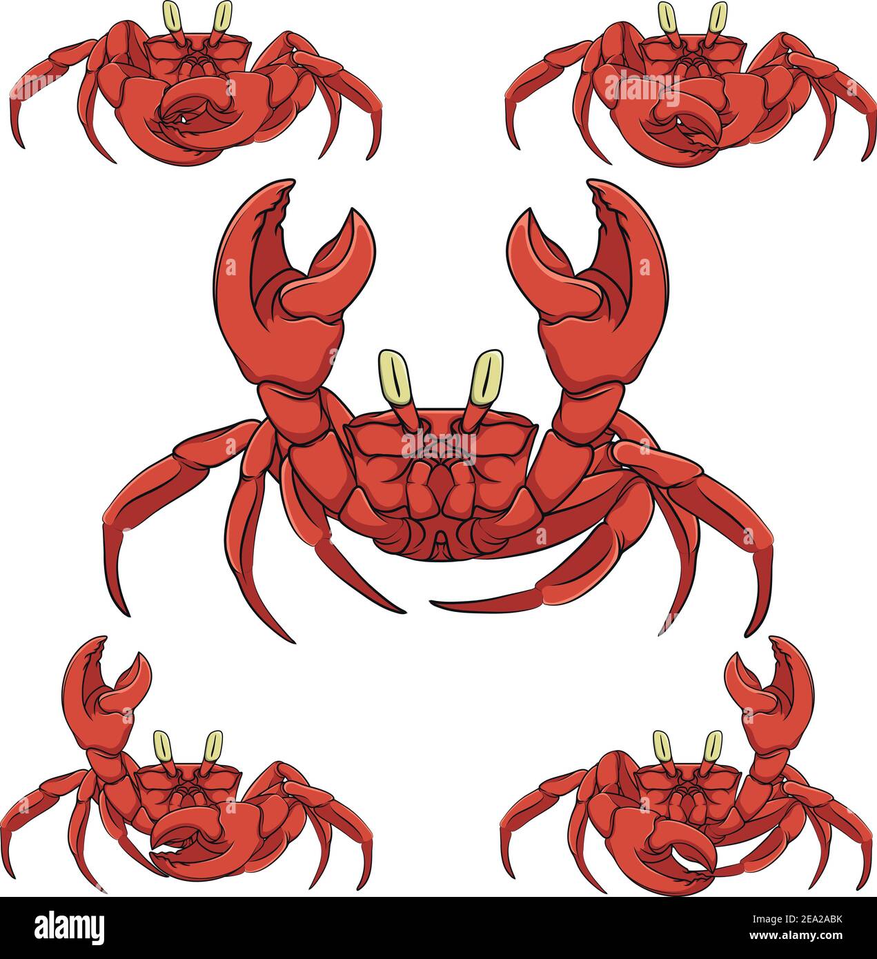 Set of color vector crabs. Isolated objects on white Stock Vector Image ...