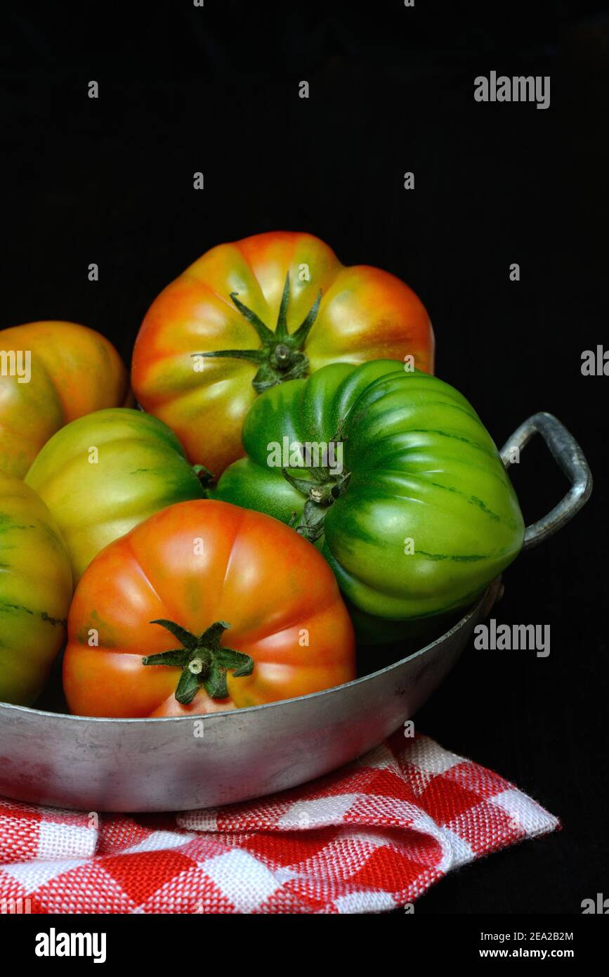 Tomatoes in bowl, Emilia-Romagna, variety Costoluto di Parma, Italy ...