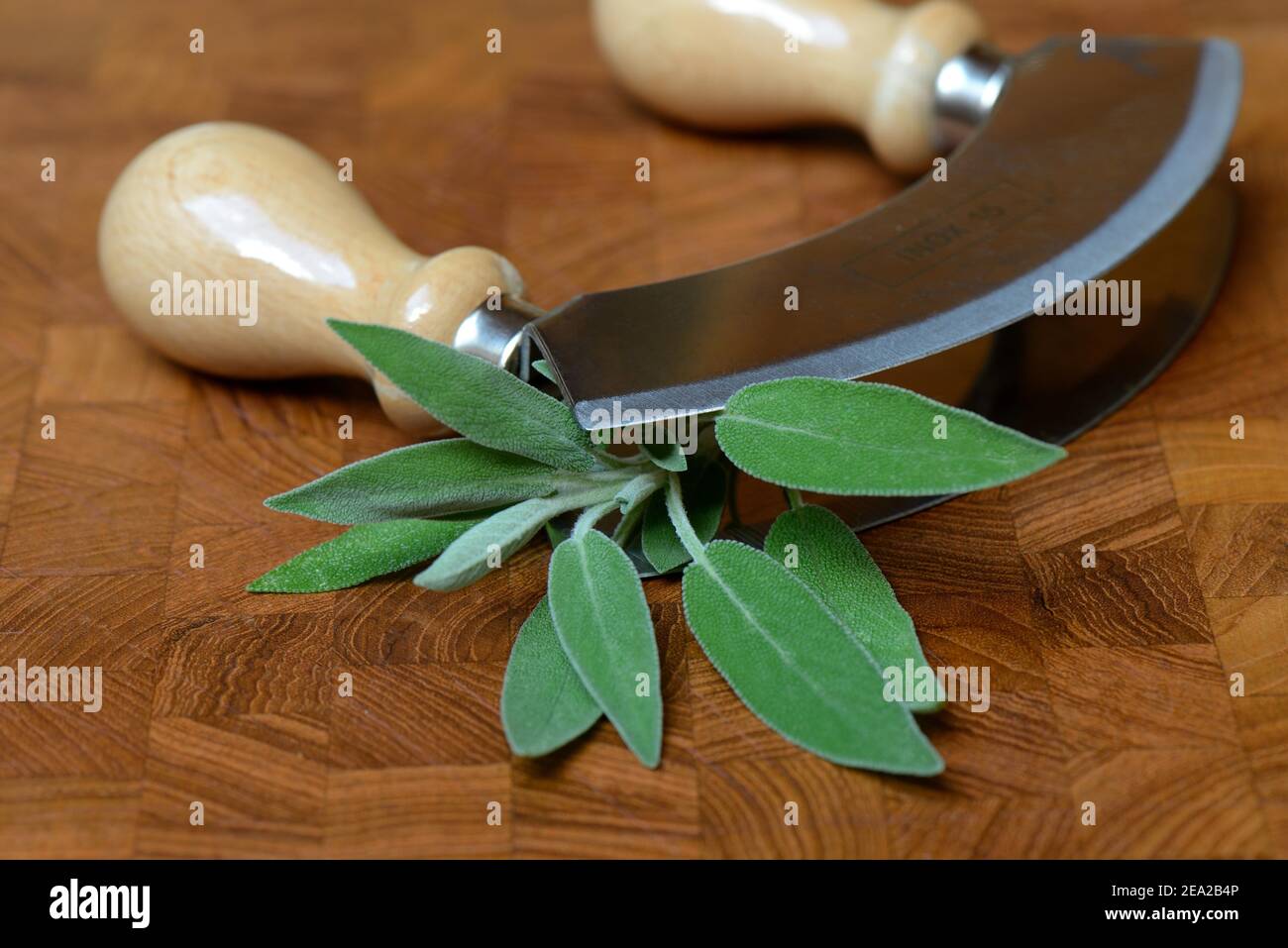 Sage leaves (Salvia officinalis) and chopping knife Stock Photo - Alamy