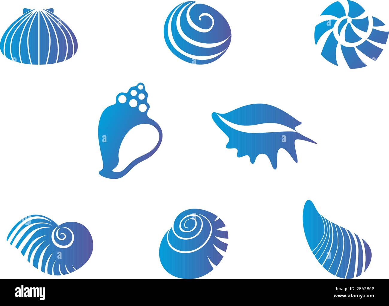 Set of blue seashells isolated on white Stock Vector Image & Art - Alamy