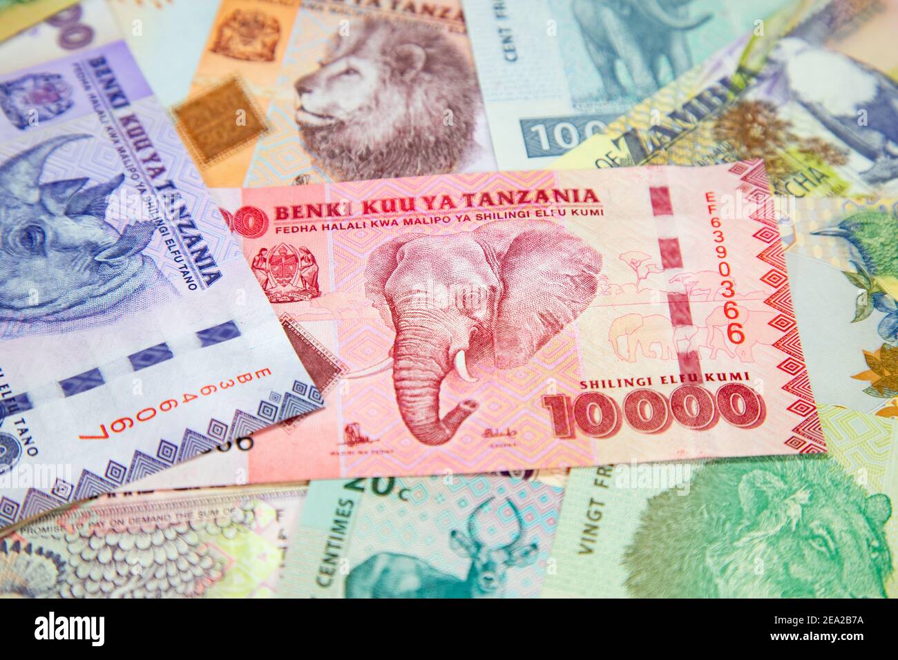 Variety of the African banknotes Stock Photo - Alamy