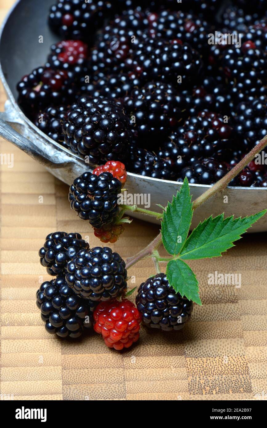 Ripe and immature hi-res stock photography and images - Alamy