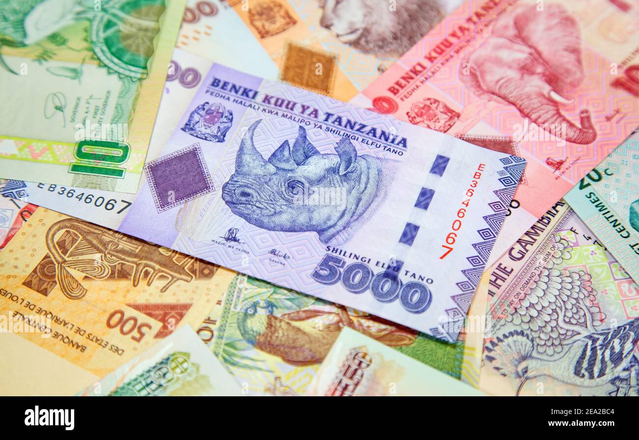 Variety of the African banknotes Stock Photo - Alamy
