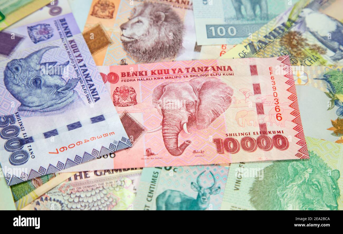 Variety of the African banknotes Stock Photo - Alamy