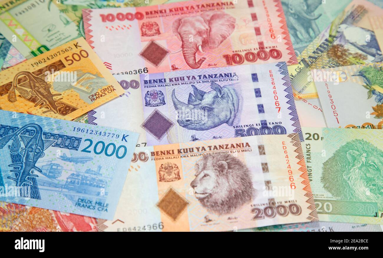 Variety of the African banknotes Stock Photo - Alamy