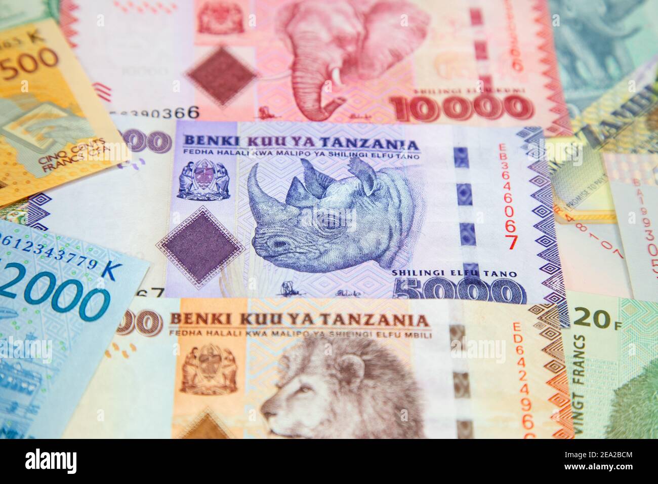 Variety of the African banknotes Stock Photo - Alamy