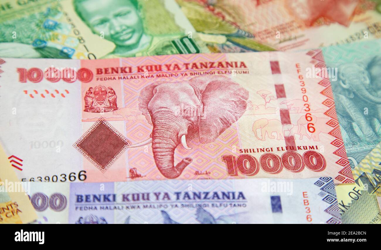 Variety of the African banknotes Stock Photo - Alamy