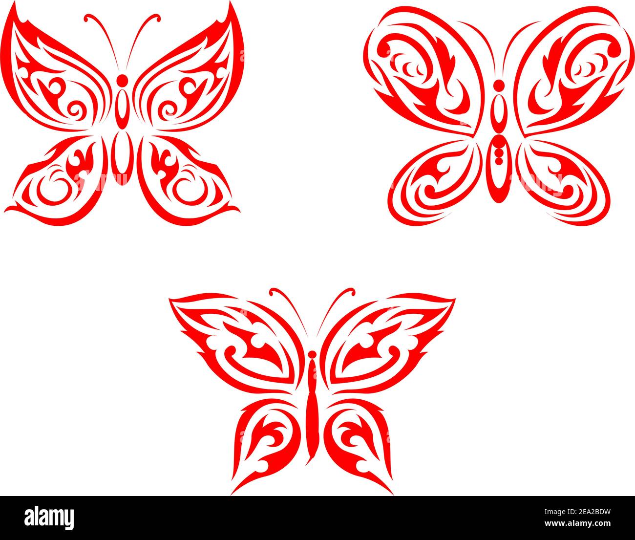 Tribal Butterfly Tattoo Color