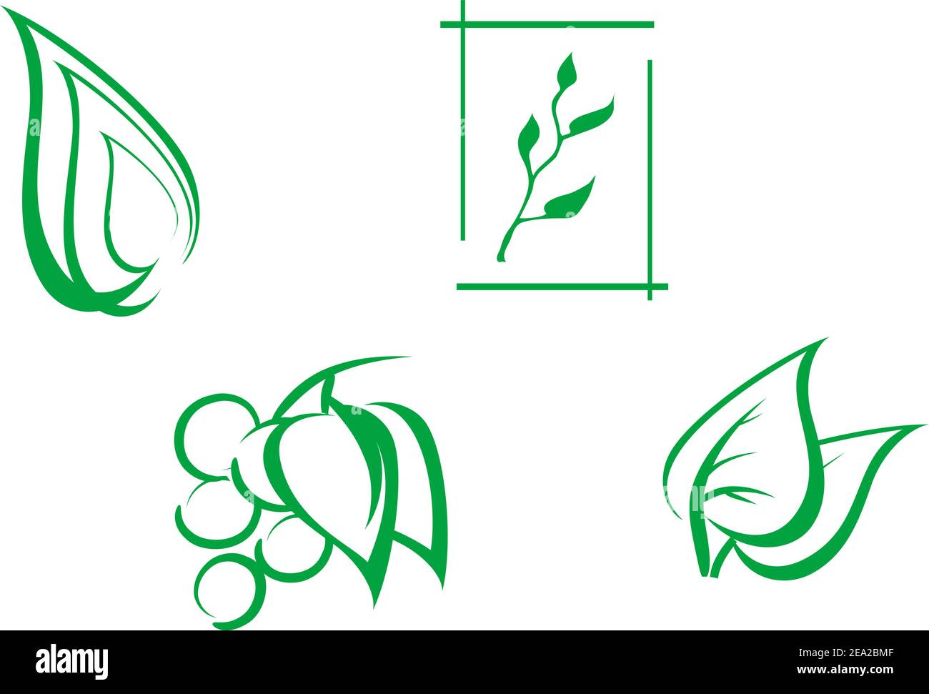 Set of leaves symbols as a nature emblems Stock Vector Image & Art - Alamy